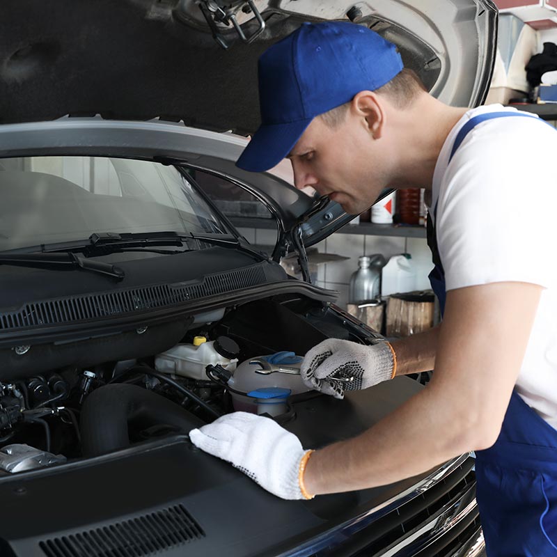 Auto Care - Fastport